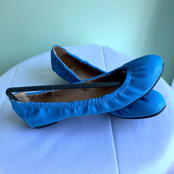 De Blossom Collection | Shoes | New Cute Blue Flats | Poshmark